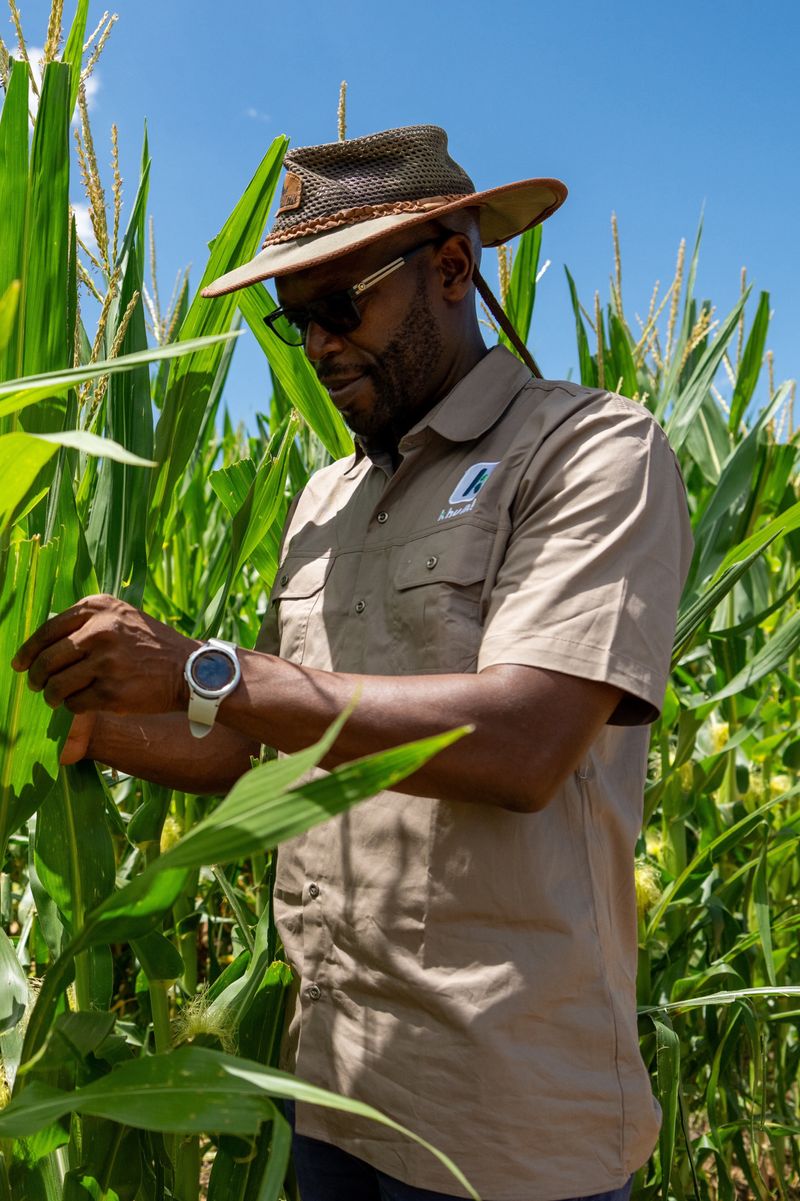 Khula | Smart Farming